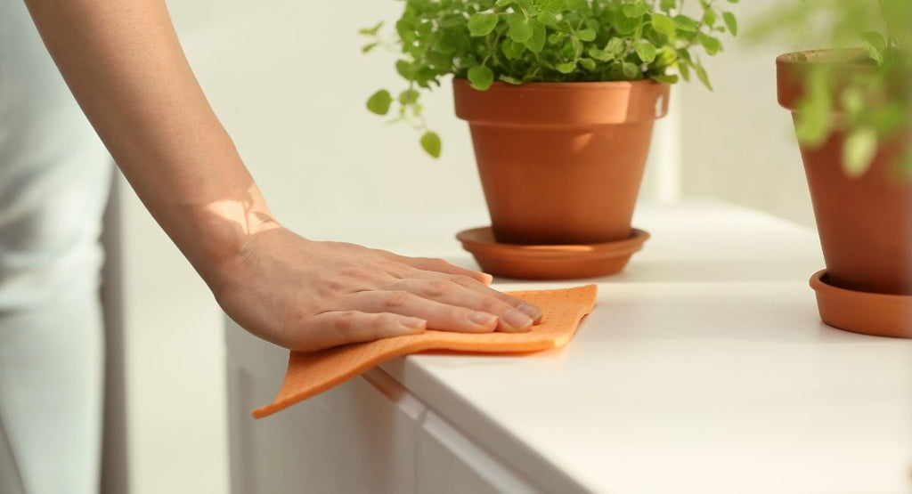 The importance of order and cleanliness in your daily routine ...